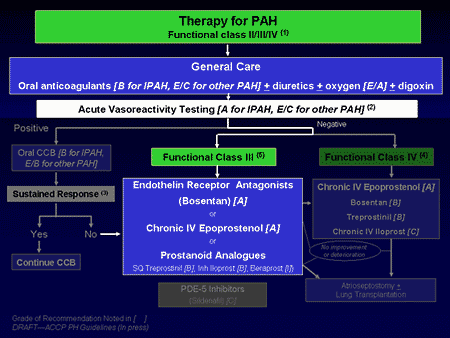 The Art and Science of the Right Heart: Diagnosis and Treatment of ...