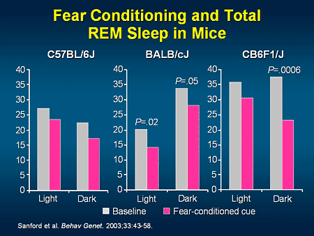 New Visions for Insomnia: Evolving Insights and Emerging Directions