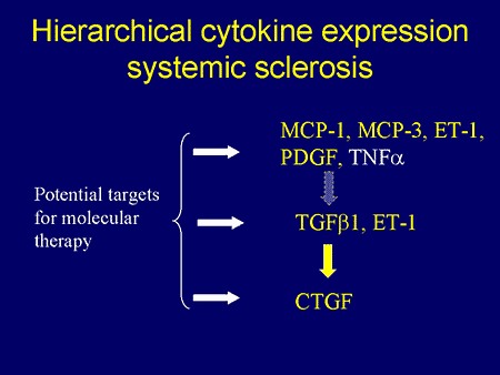 Systemic Sclerosis: An Integrated Approach to Understanding ...