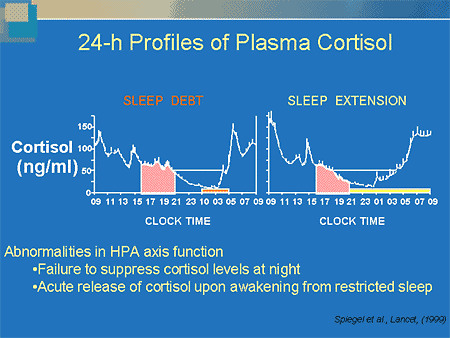Exploring the True Morbidity of Insomnia