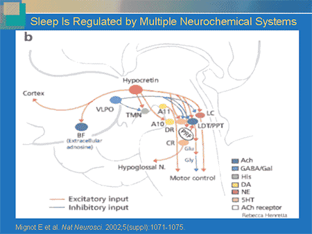 Exploring the True Morbidity of Insomnia