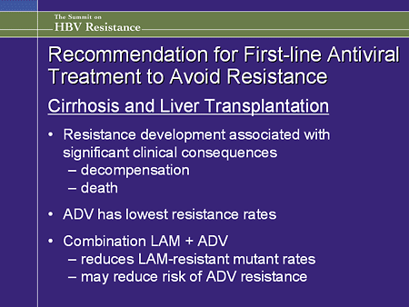 Highlights From the Summit on HBV Resistance