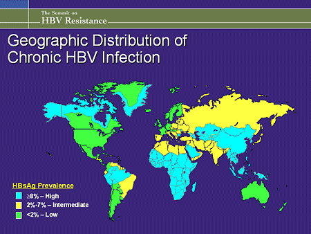 Highlights From the Summit on HBV Resistance