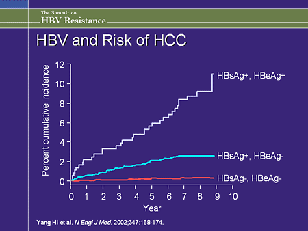 Highlights From the Summit on HBV Resistance
