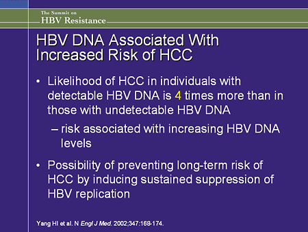 Highlights From the Summit on HBV Resistance