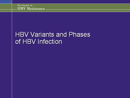 Highlights From the Summit on HBV Resistance