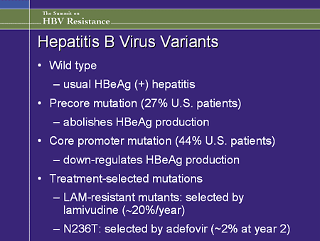 Highlights From the Summit on HBV Resistance