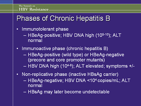 Highlights From the Summit on HBV Resistance