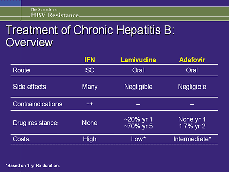 Highlights From the Summit on HBV Resistance