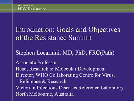 Highlights From the Summit on HBV Resistance