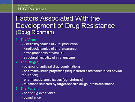 Highlights From the Summit on HBV Resistance