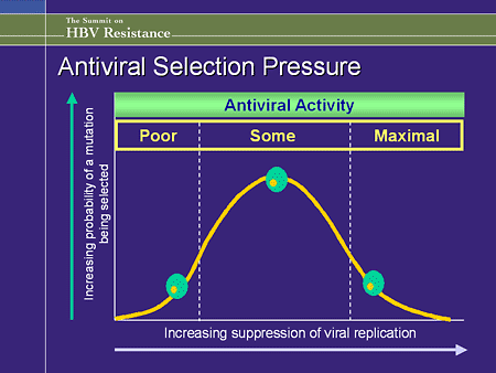 Highlights From the Summit on HBV Resistance