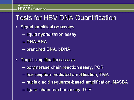 Highlights From the Summit on HBV Resistance