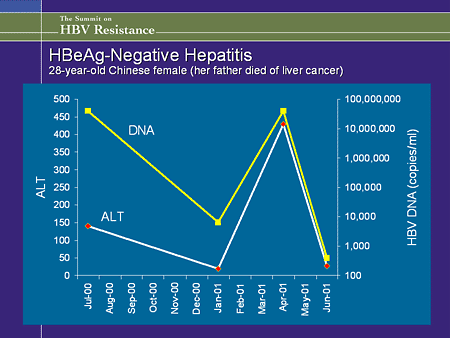 Highlights From the Summit on HBV Resistance