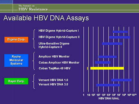 Highlights From the Summit on HBV Resistance