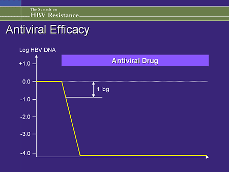 Highlights From the Summit on HBV Resistance