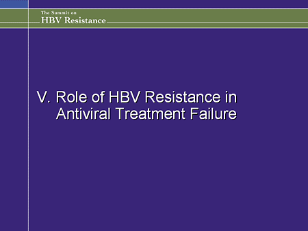 Highlights From the Summit on HBV Resistance