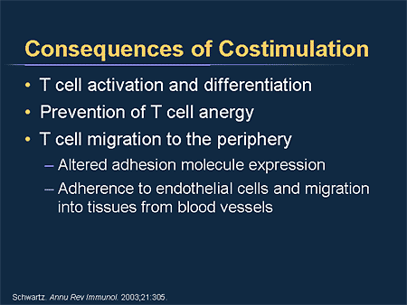 Selective Costimulation Modulators: Addressing Unmet Needs in ...