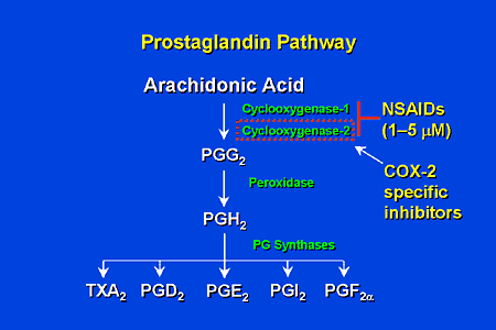 Hot Topics in Gastroenterology: Management of Nonselective NSAID ...