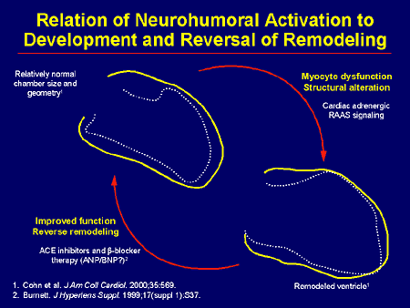 Novel Therapies for Heart Failure: Expanding the Role of Natriuretic ...
