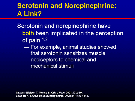 The Mind, Brain, Body Connection: Treating People With Depression in ...