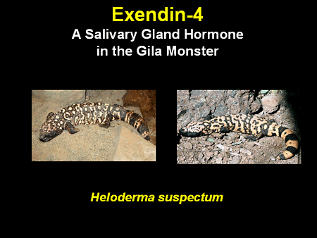 Changing the Course of Disease: Gastrointestinal Hormones and Tomorrow ...