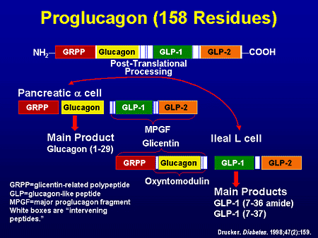 Changing the Course of Disease: Gastrointestinal Hormones and Tomorrow ...