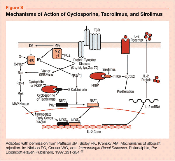 Modifiable and Nonmodifiable Donor and Recipient Factors as Targets for ...