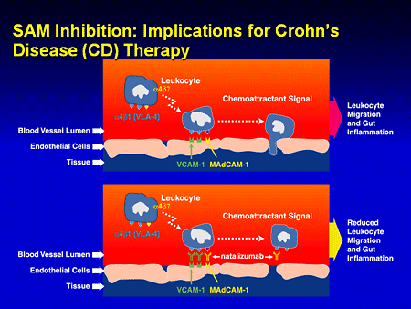 Selective Adhesion Molecule (SAM) Inhibition With Alpha-4 Integrin ...