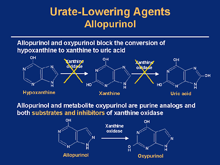 Hyperuricemia and Gout
