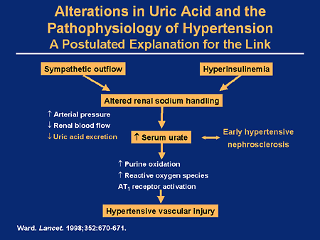 Hyperuricemia and Gout