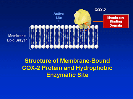 The Pulse of Current Cardiovascular Concern: Anti-inflammatory Medications