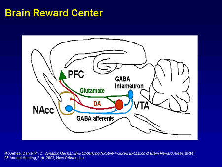 The Endocannabinoid System: A Novel Therapeutic Target for the ...