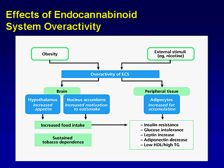 The Endocannabinoid System: A Novel Therapeutic Target for the ...