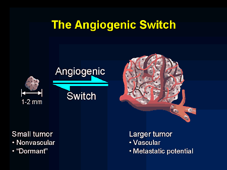 The Essentials of GI Malignancies: Maximizing the Therapeutic Potential