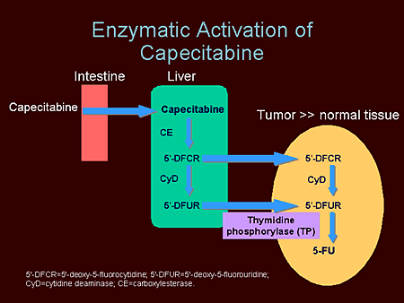 Adjuvant Chemotherapy for Stage II and III Colon Cancer: When, How, and ...