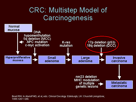Adjuvant Chemotherapy for Stage II and III Colon Cancer: When, How, and ...