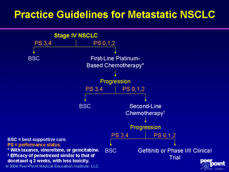 Clinical Advances in Non-Small Cell Lung Cancer (NSCLC) and Mesothelioma