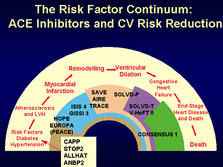 Inhibiting the RAAS in Diabetes Mellitus: Is It Real? Is It Important?