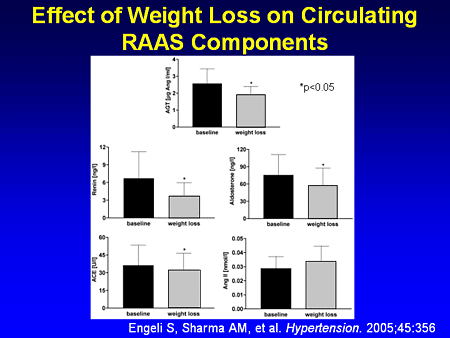 Inhibiting the RAAS in Diabetes Mellitus: Is It Real? Is It Important?