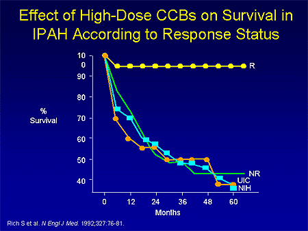 Mechanisms and Evidence-Based Management of Pulmonary Arterial ...