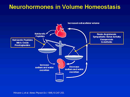 Heart Failure Management 2005 and Beyond: Current Status, Emerging ...