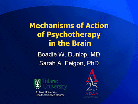 Taming the Anxious Mind: How Psychotherapy and Medications Transform ...