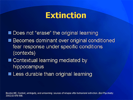 Taming the Anxious Mind: How Psychotherapy and Medications Transform ...