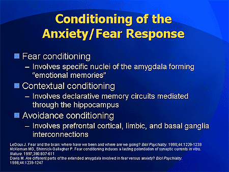 Taming the Anxious Mind: How Psychotherapy and Medications Transform ...