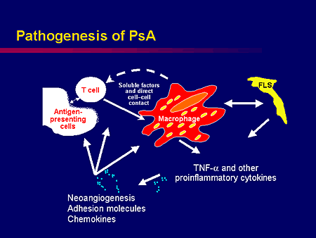 Does Skin Matter? The Impact of TNF Antagonists on the Comprehensive ...