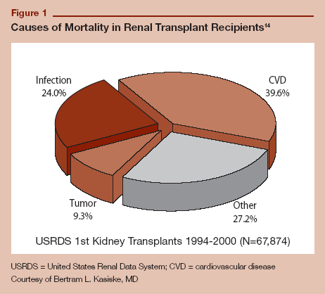 Impact and Management of Cardiovascular Risks After Kidney Transplantation