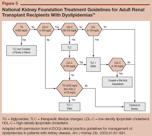 Impact and Management of Cardiovascular Risks After Kidney Transplantation