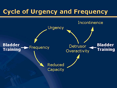Advances in Antimuscarinic Therapy for Overactive Bladder