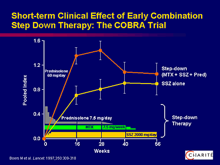 Is Remission the Mission in RA? New Information from the 2005 EULAR ...
